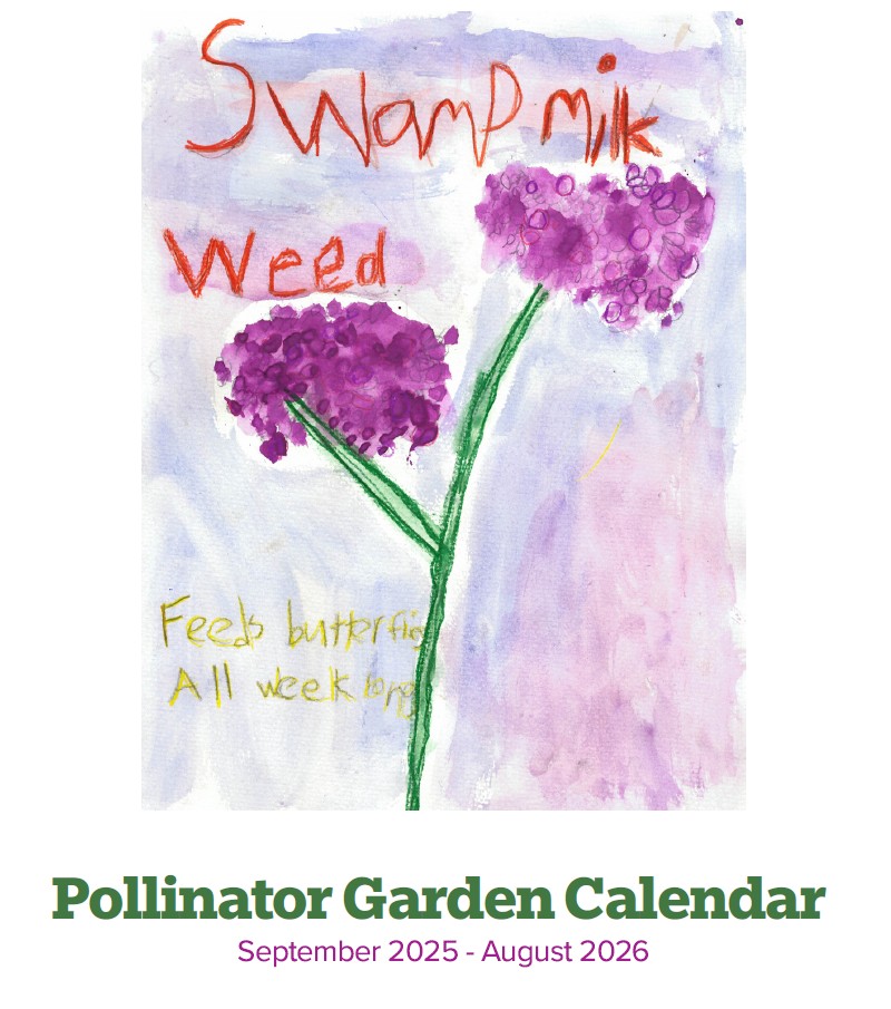 Pollinator Garden Calendar – Scarborough Rosewood Community Association
